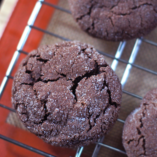 Chocolate Chocolate Chip Cookies | Mayhem in the Kitchen!